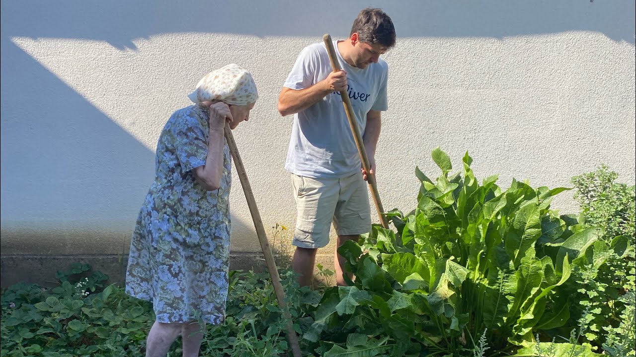 La scos de HREAN cu MAMAIE - YouTube