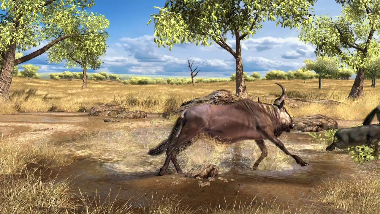 Wildebeest Trek1 Site4 Red - YouTube