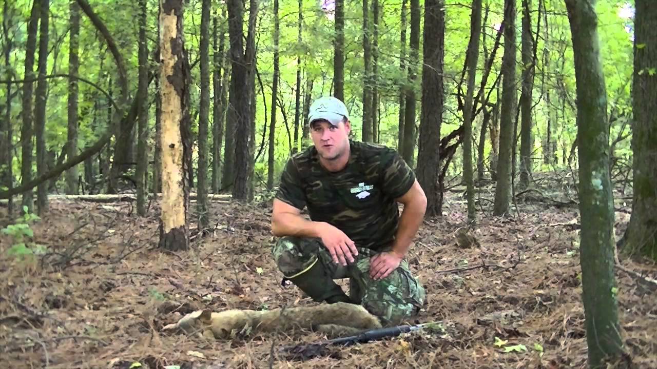 MFK WEB-tv Episode #21--Part 2: Timber Coyotes Close Range - YouTube
