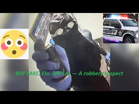 Disney Springs Restaurant robbery Scuba diver allegedly steals cash ...