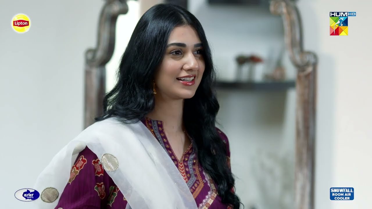 Hum Tum - Episode 24 - BEST SCENE 08 - HUM TV - YouTube