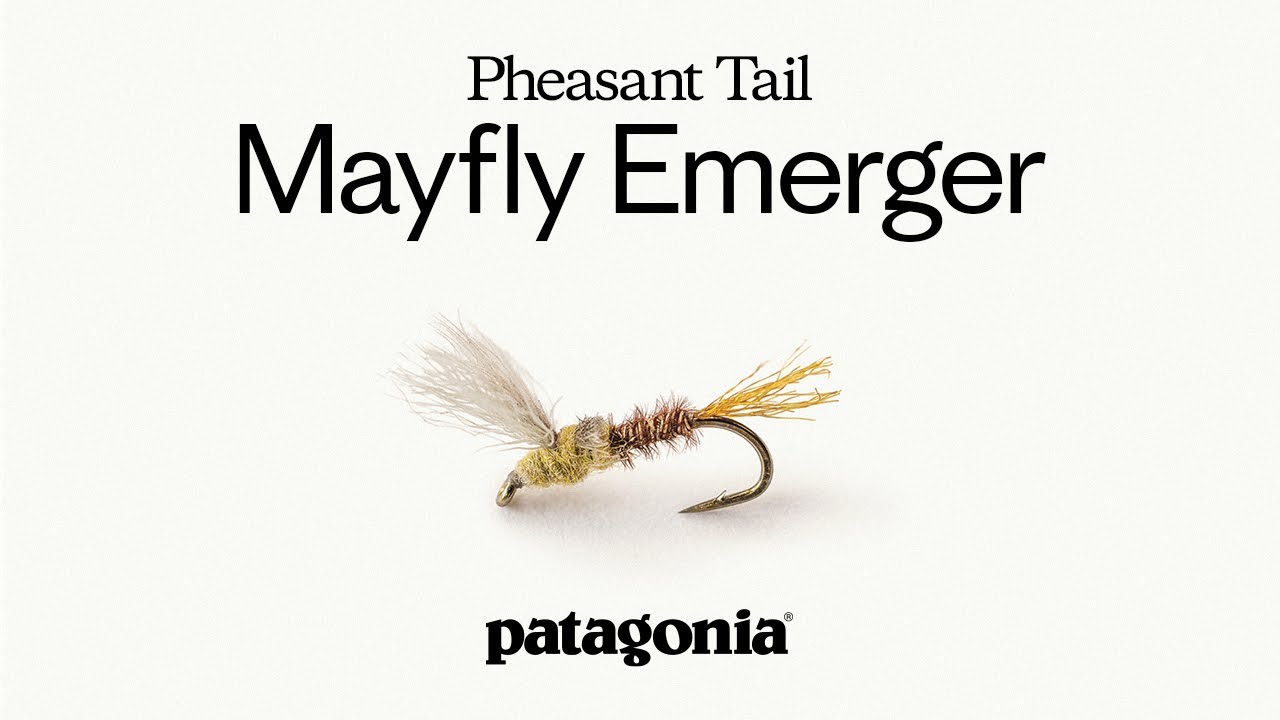 Pheasant Tail Mayfly Emerger by Craig Mathews | Fly Recipe - YouTube