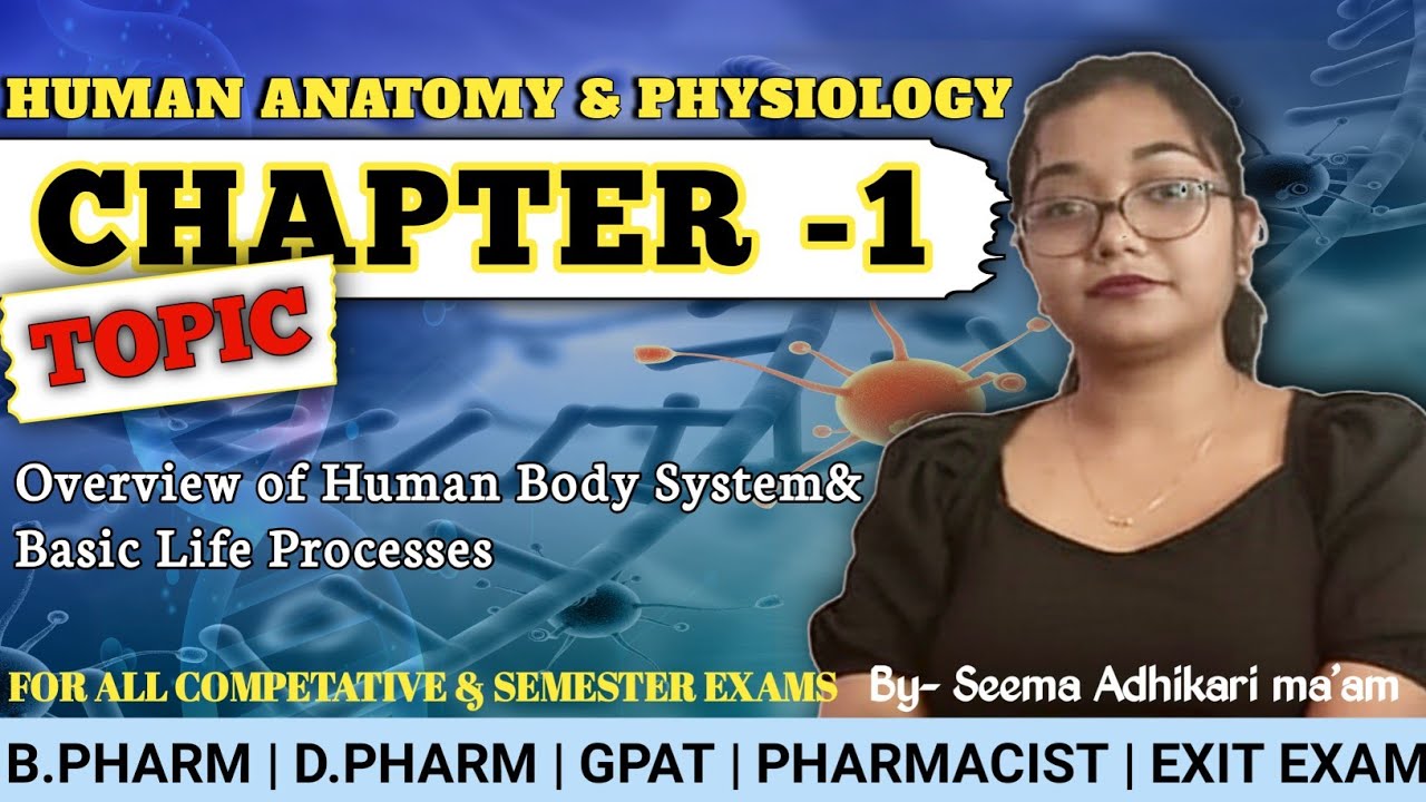 Overview of Human Body Systems & Basic Life Processes | Anatomy ...