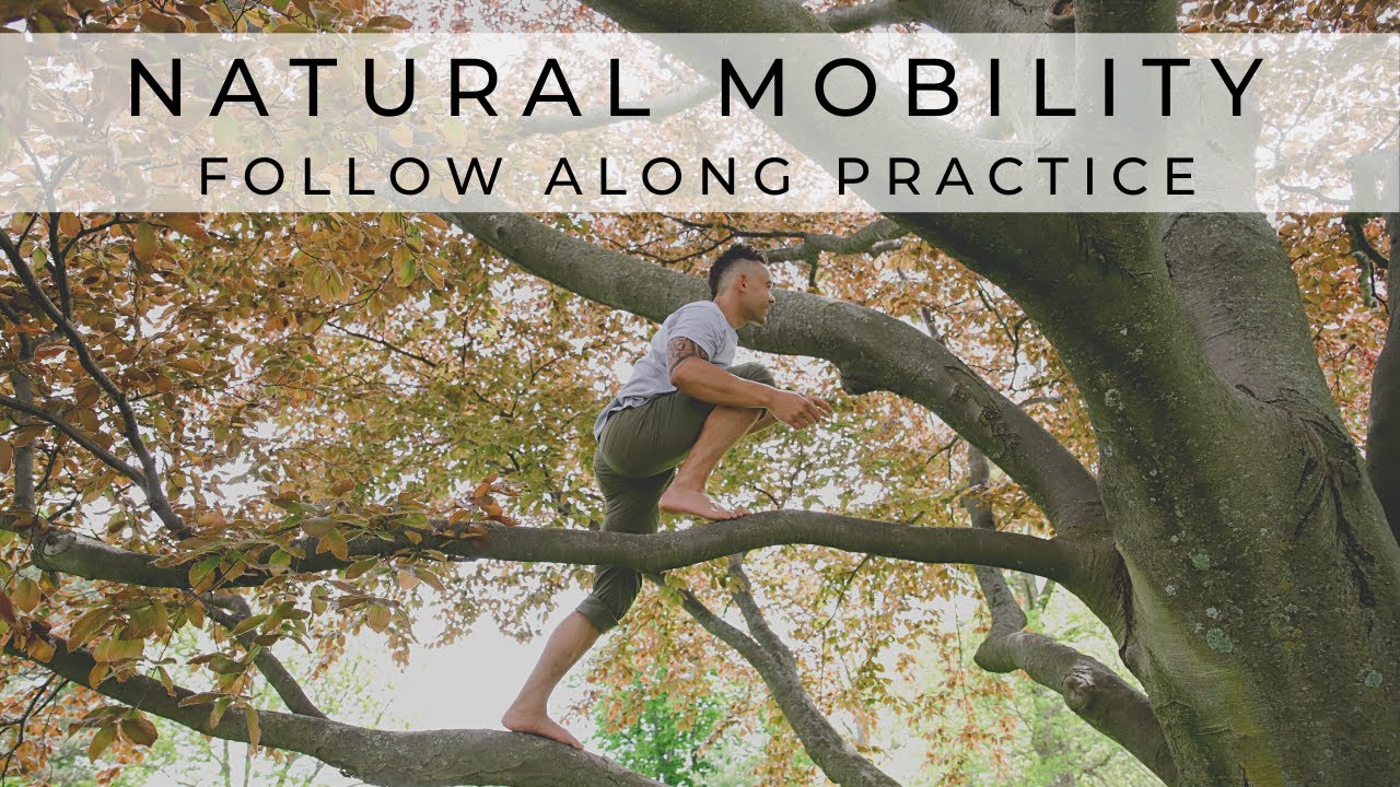 Natural Movement | Mobility Practice + Interval Workout - YouTube