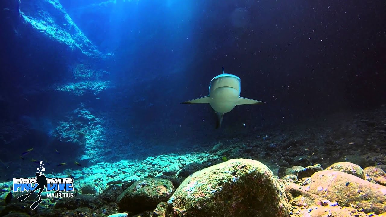 GoPro Hero 4 Silver Underwater Test 1080 30fps - YouTube