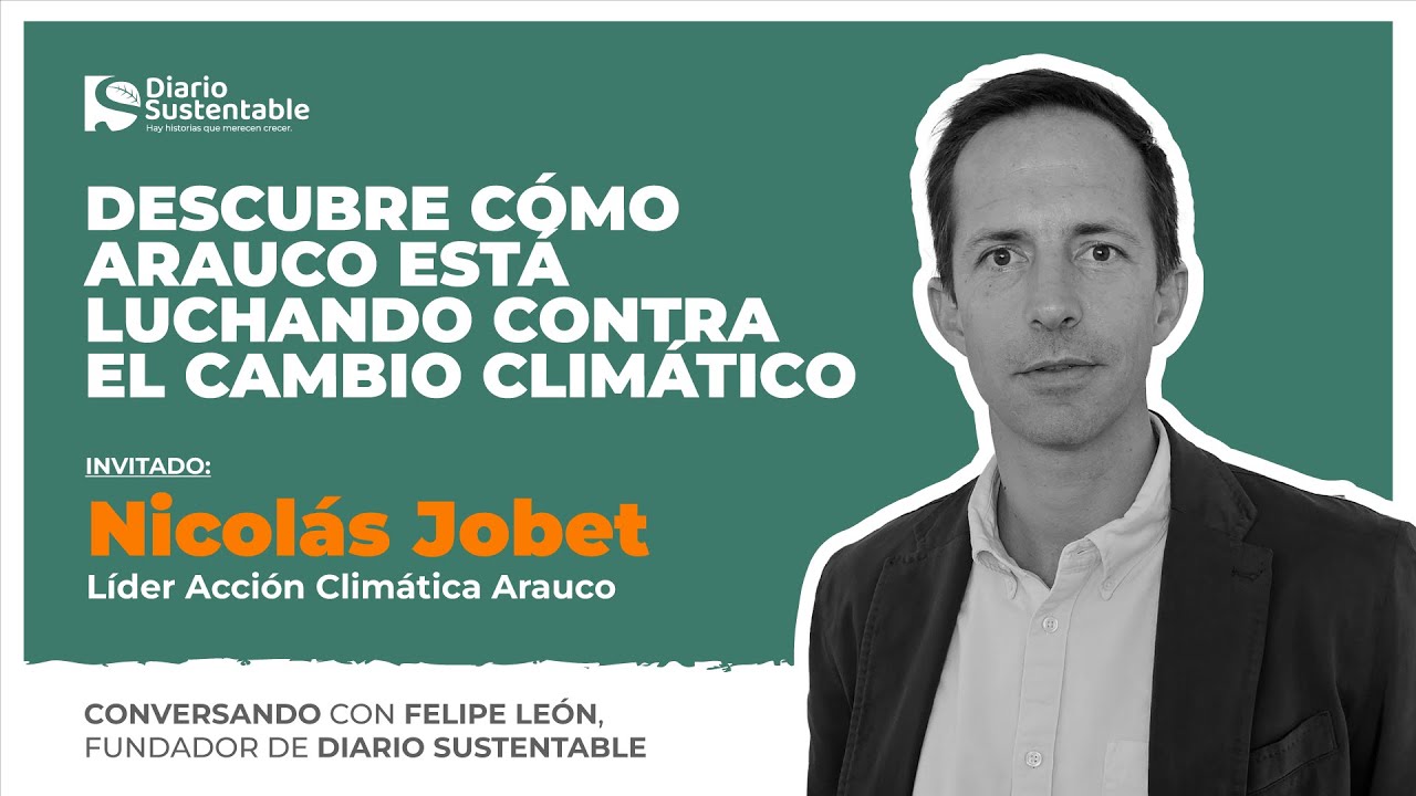 Descubre Cómo Arauco Está Abordando el Desafío del Cambio Climático 🌟 ...