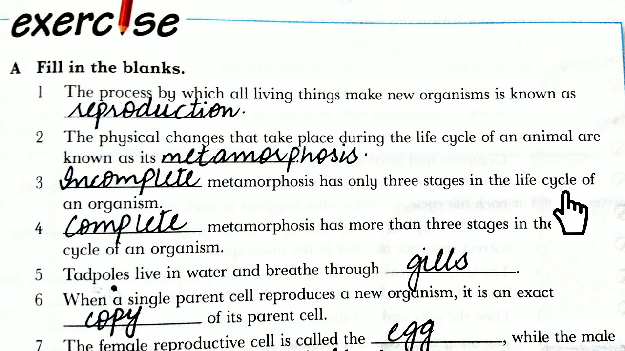 Class 5 Science Lec 20 Youtube 3436