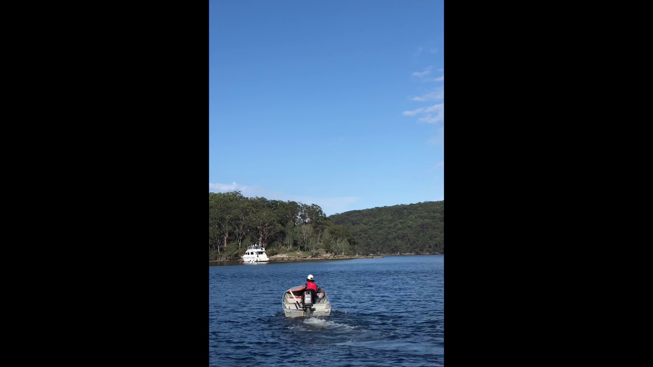 Supa skuas - YouTube