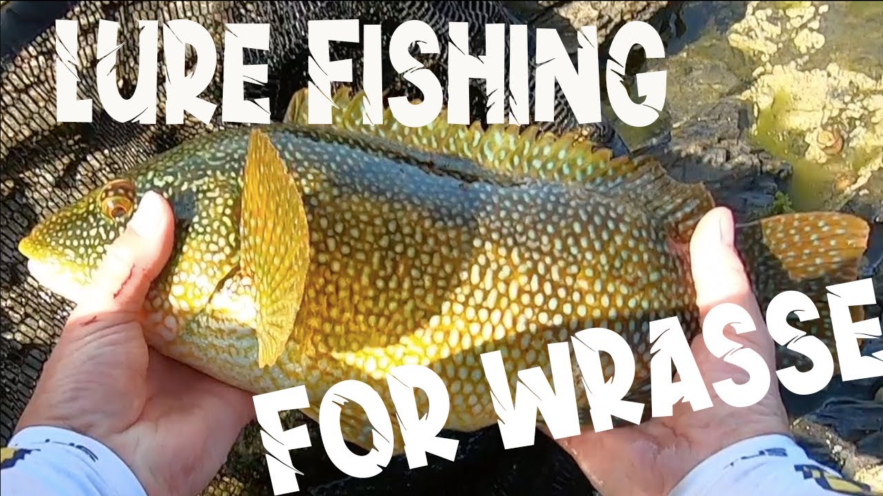 How to Lure Fish for Wrasse - Tackle, Rigs & Lures - YouTube