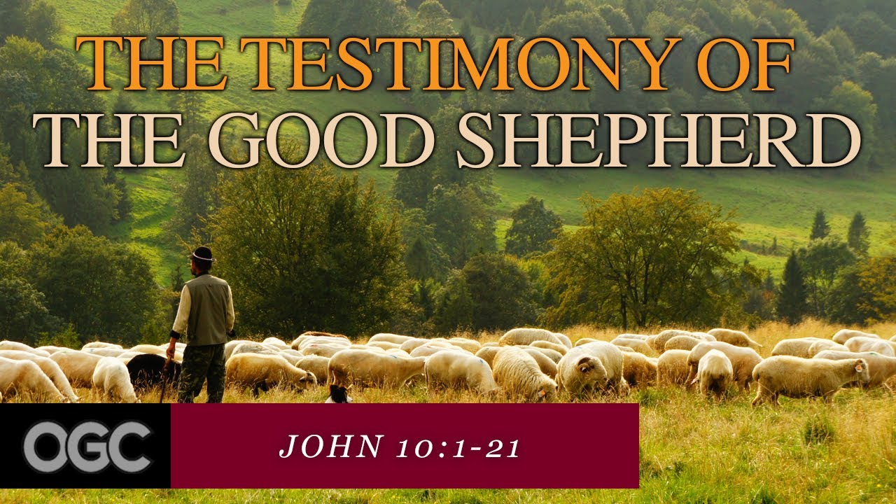 The Testimony of the Good Shepherd | March 12, 2023 - YouTube