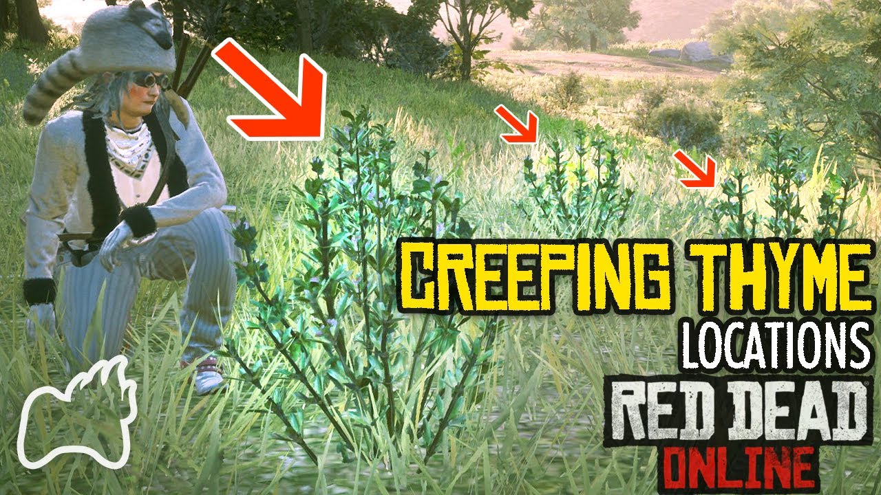 RED DEAD ONLINE Where's the Creeping Thyme? 6 Locations Found - Daily ...