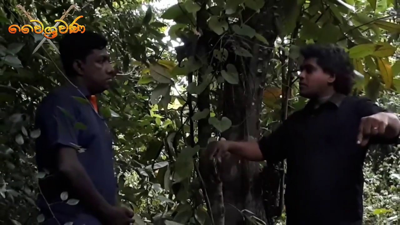 Ravana Veenava රාවණා වීණාව - බඹරගල සිට හෙළ ඉතිහාසය කරා - සිව් වන ...