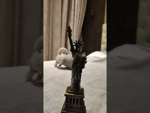 Statue of liberty life after people - YouTube