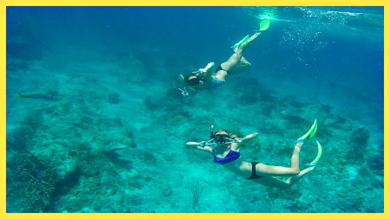 SNORKELING IN TURKS AND CAICOS - YouTube