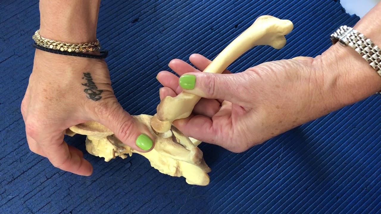 Barden-Test - YouTube