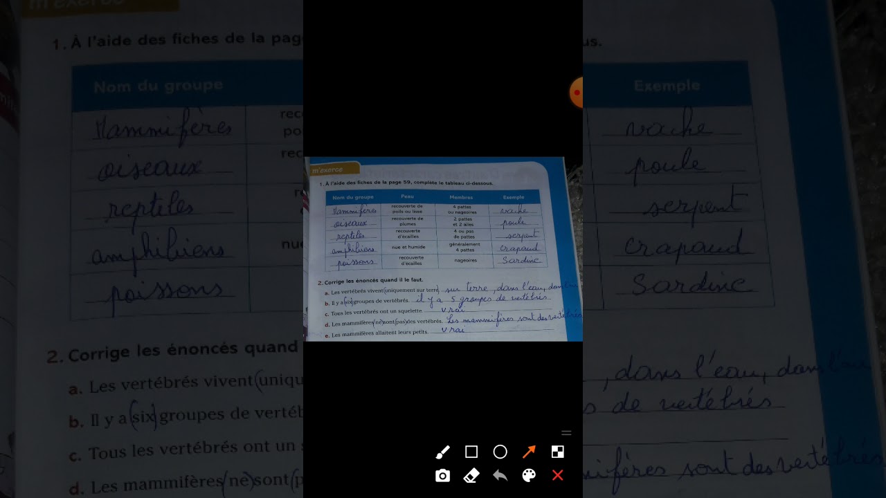 Les vertébrés(exercices) EB4 - YouTube