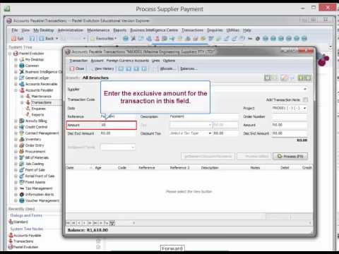 Evolution Process a Supplier Payment & Allocation - YouTube