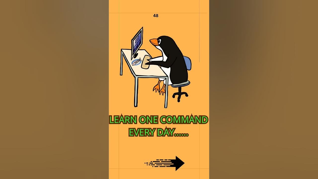 Learn one command every day.- 48 #linuxtutorial #linuxcommandlinetutorial #linuxcommands - YouTube