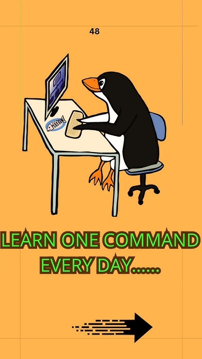 Learn One Command Every Day 48 Linuxtutorial Linuxcommandlinetutorial Linuxcommands Youtube