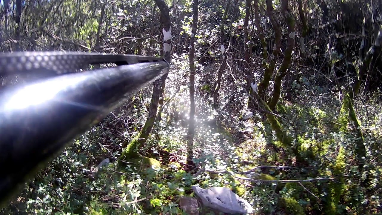 κυνήγι αγριογούρουνου στην ήπειρο - YouTube