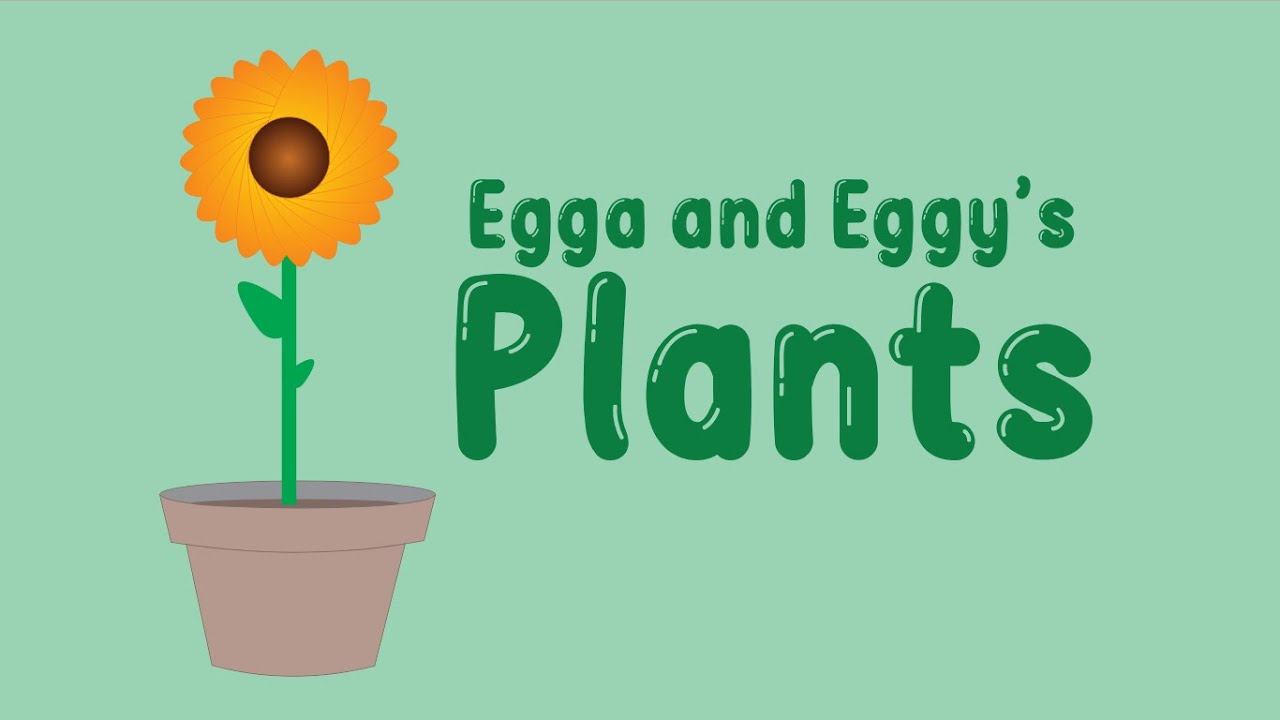 Egga and Eggy's Plants - YouTube