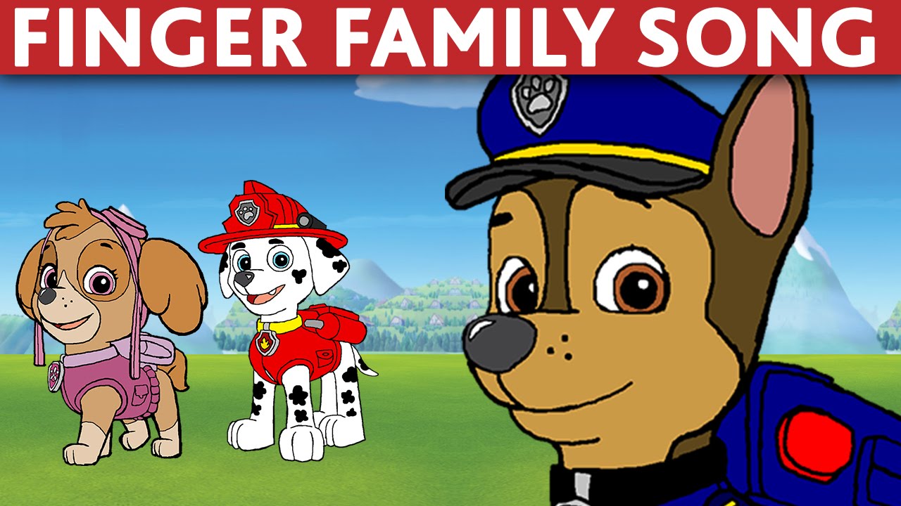 Paw Patrol Finger Family Song Paw Patrol Daddy Finger Song - YouTube