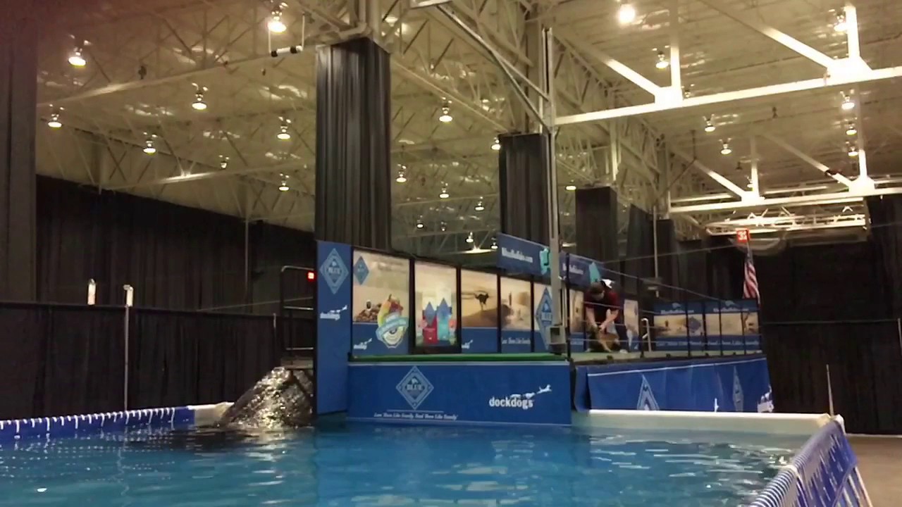 Extreme Vertical Cleveland IX Center - 1st place! - YouTube