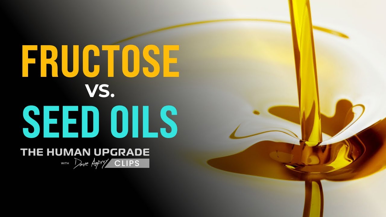 Fructose vs. Seed Oils | Dr. Robert Lufkin x Dave Asprey - YouTube