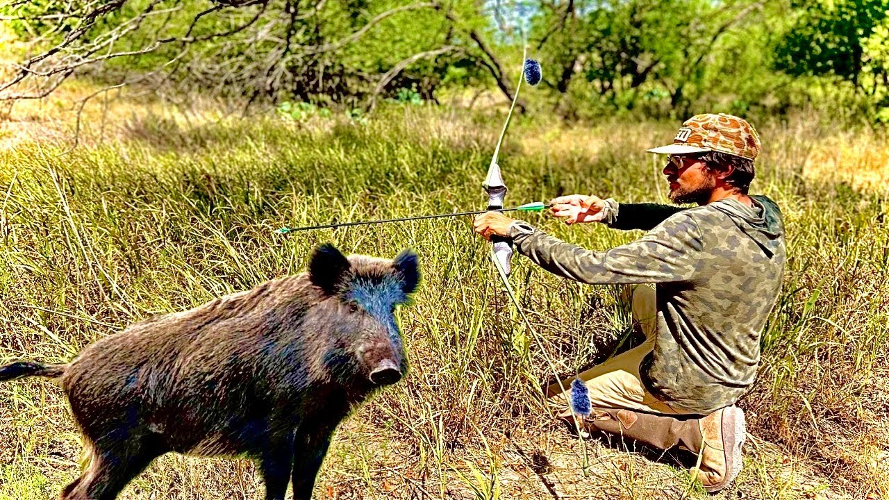 Hunting With Amazon’s Cheapest Bow & Arrow (Catch & Cook) - YouTube