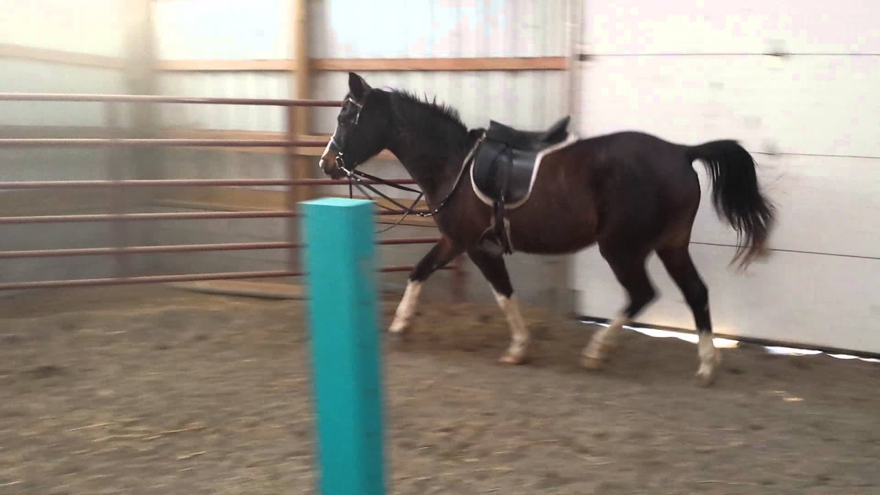 Calm and lazy Q - YouTube