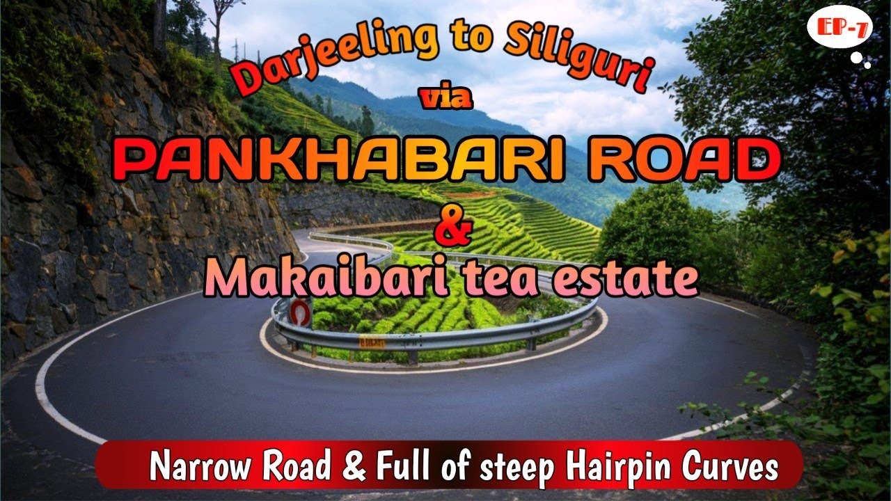 Self drive Darjeeling to Siliguri through Pankhabari Road I Makaibari ...