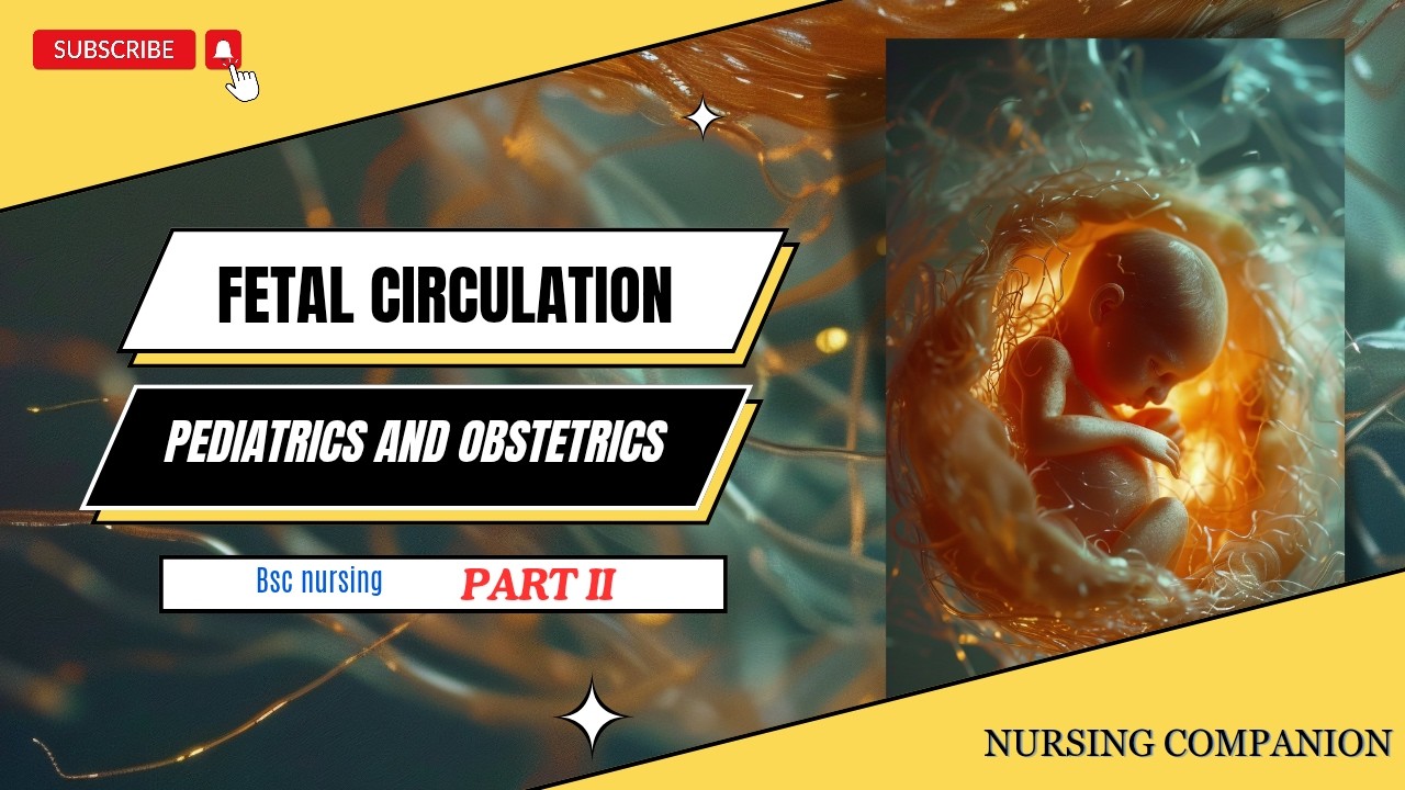 FETAL CIRCULATION physiology Changes after Birth! PYQ🩸MIXED BLOOD ...