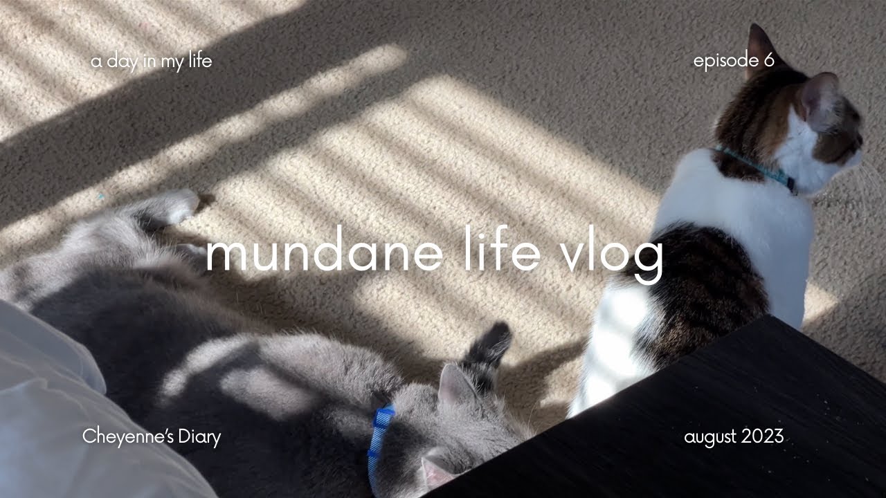 a (very) mundane day in my life | daily diary ep. 6 - YouTube