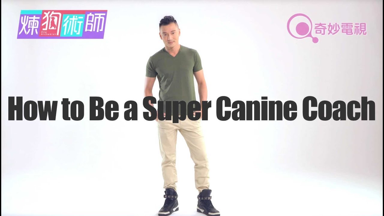 Eric Ko 超級馴犬師 Dog Saviour - YouTube