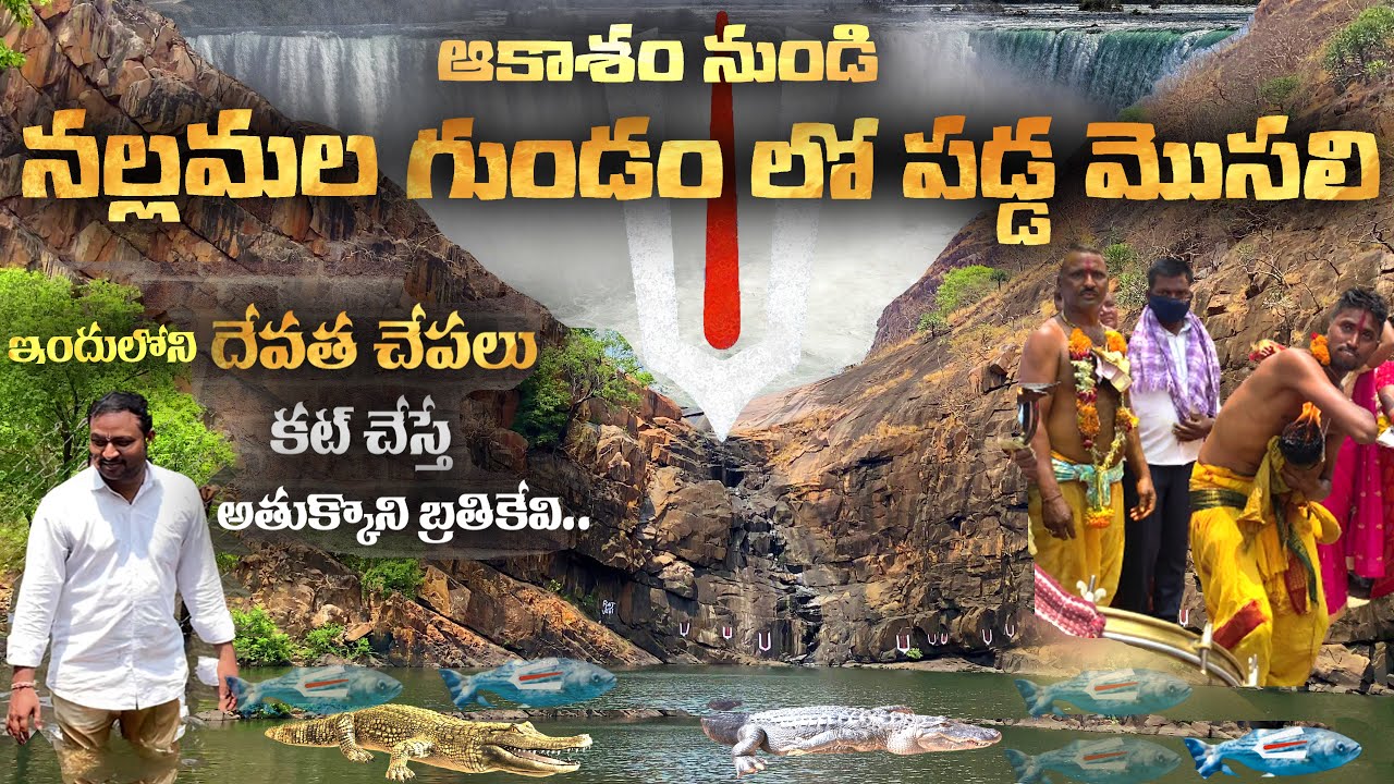 Nemaligundla Ranganayaka Swamy in Nallamala Forest - నల్లమల కొండలలో ...