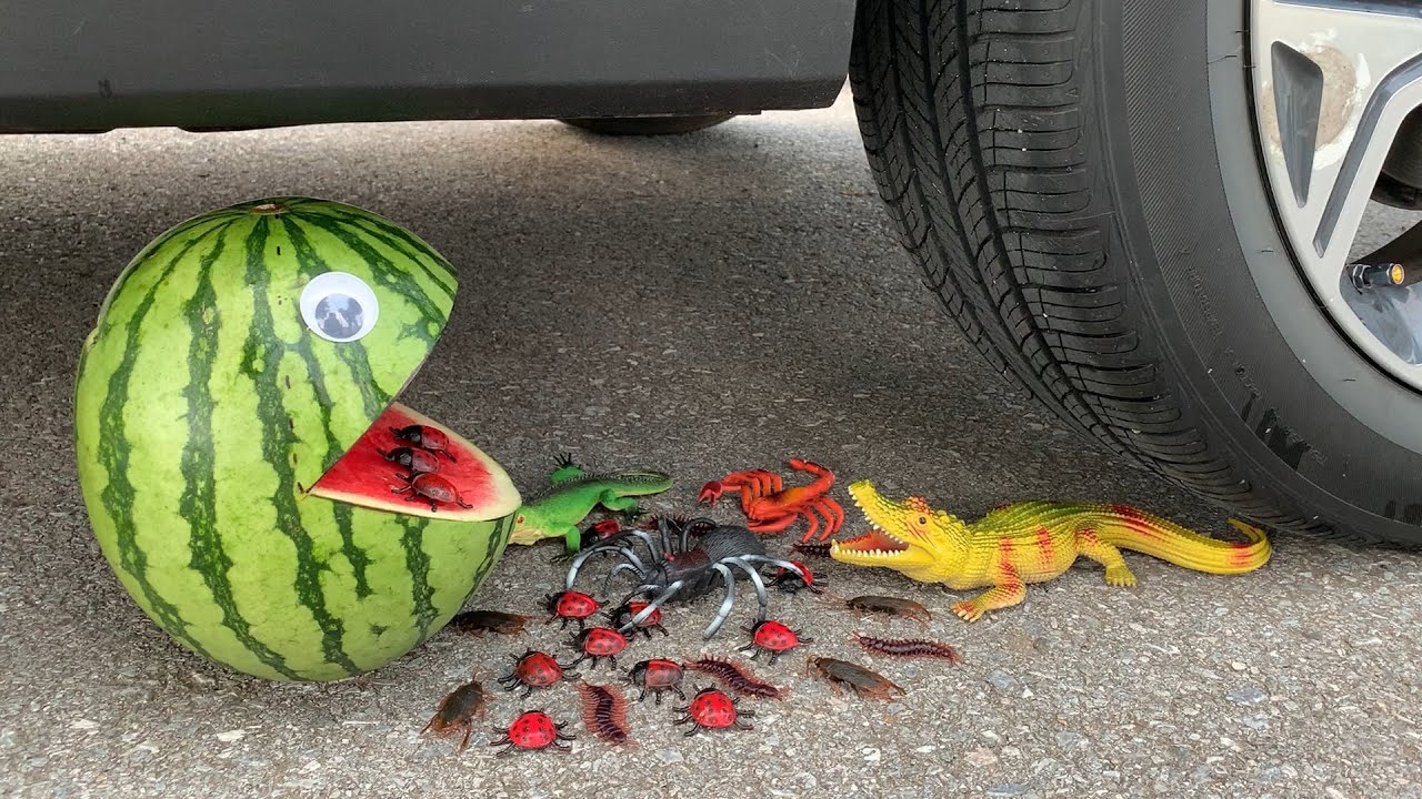 Experiment Car vs Watermelon vs Insect Bug Toy | Crushing Crunchy ...