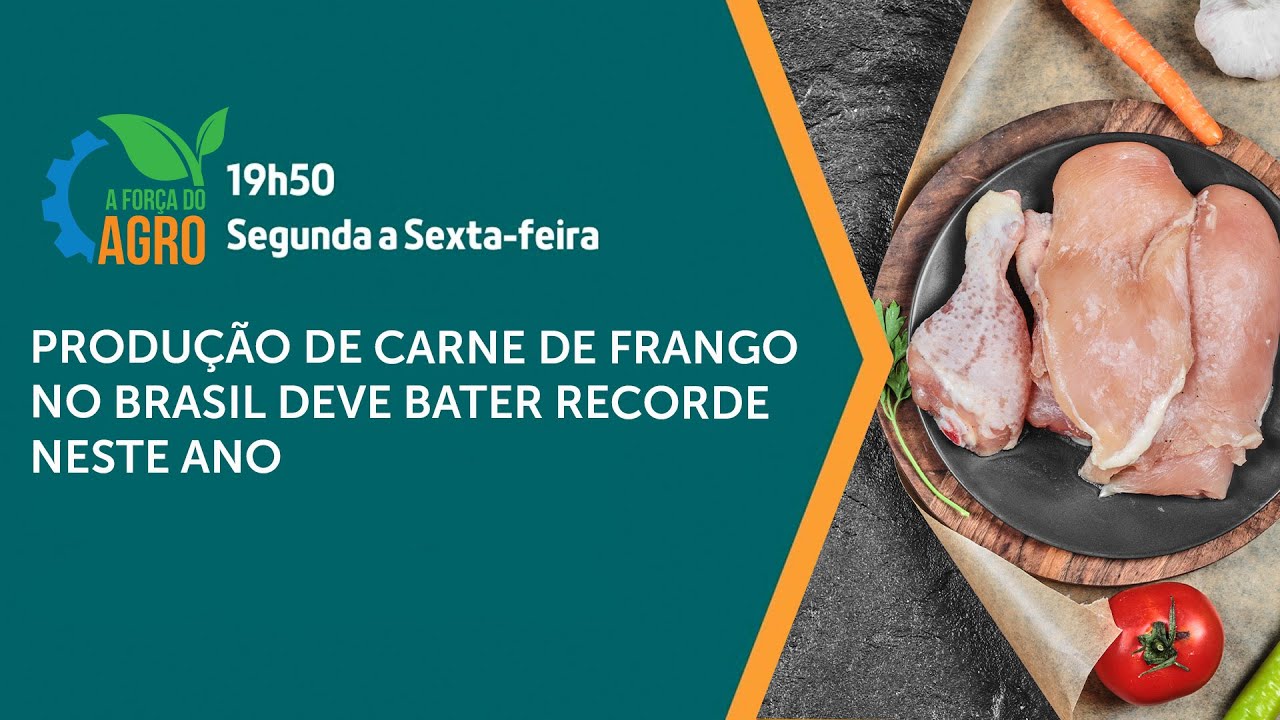 A Força do Agro - Produção de carne de frango no Brasil deve bater ...