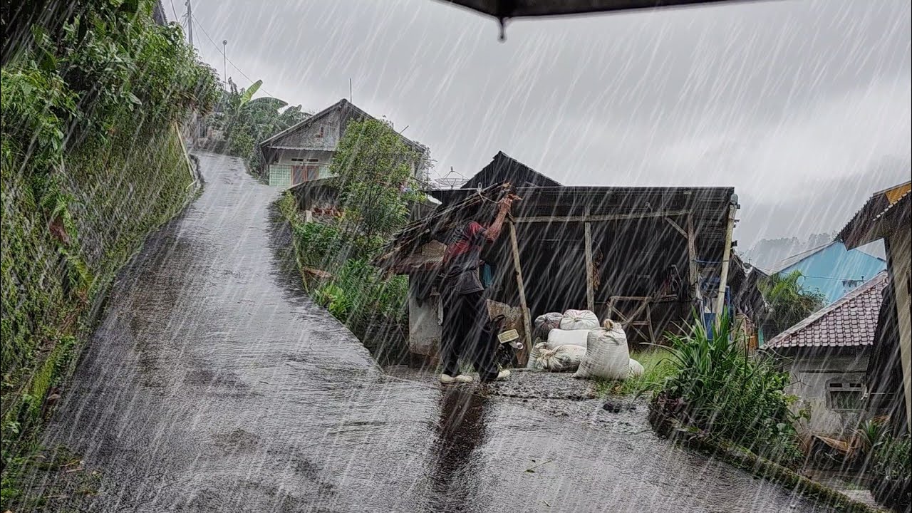 Walking in heavy rain and stong winds village life, heavy rain relaxing ...