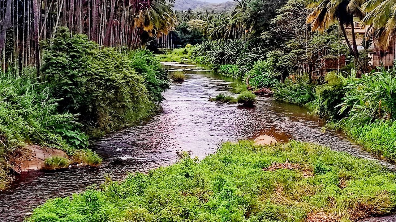 Kottathara River @Travelpackerofficial - YouTube