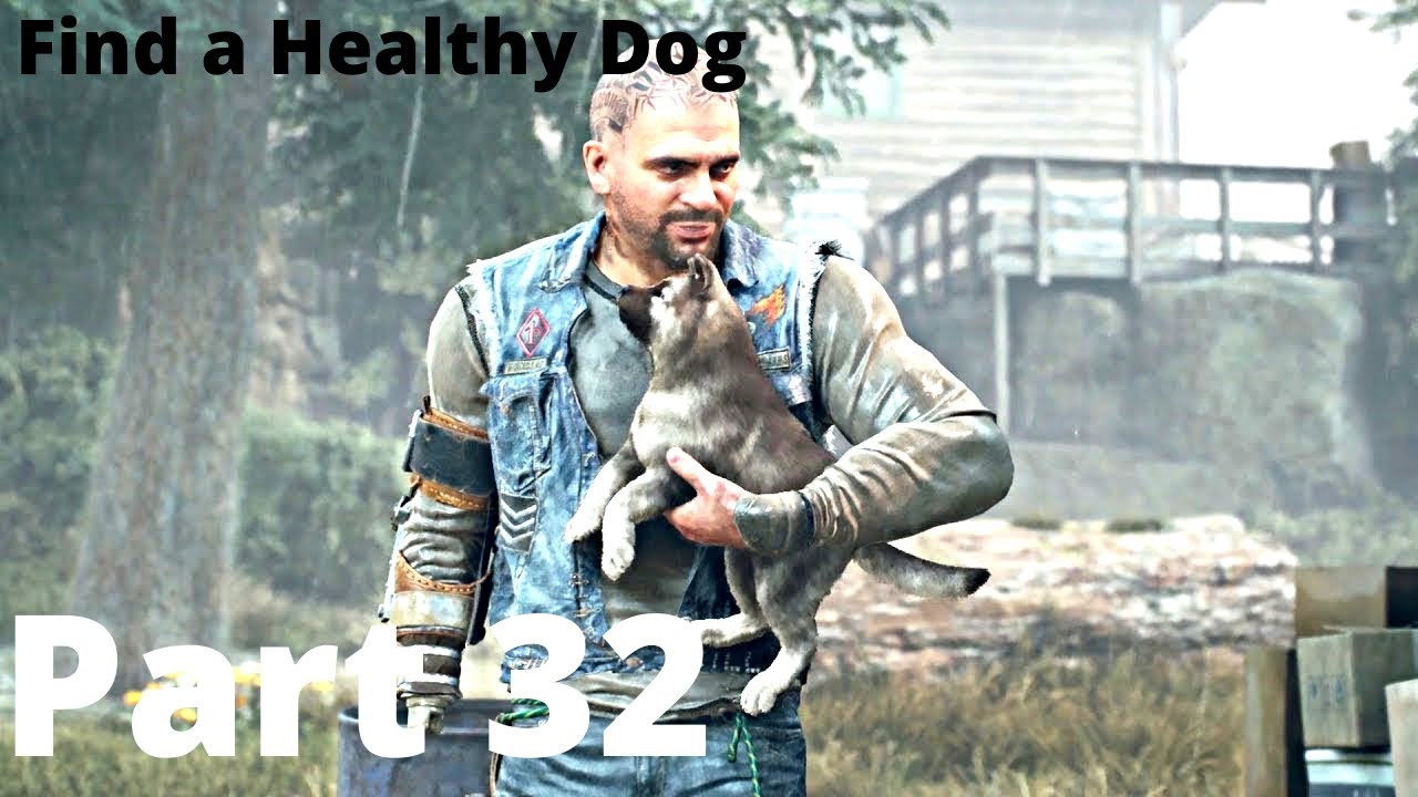Days Gone Gameplay Walkthrough Part 32 - Find a Healthy Dog - YouTube
