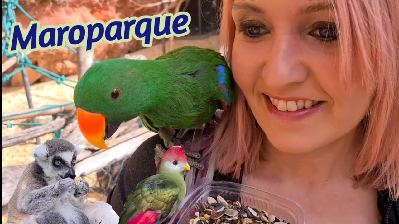 Maroparque-La Palma Animal Rescue Conservation Sanctuary-Vertical Zoo ...