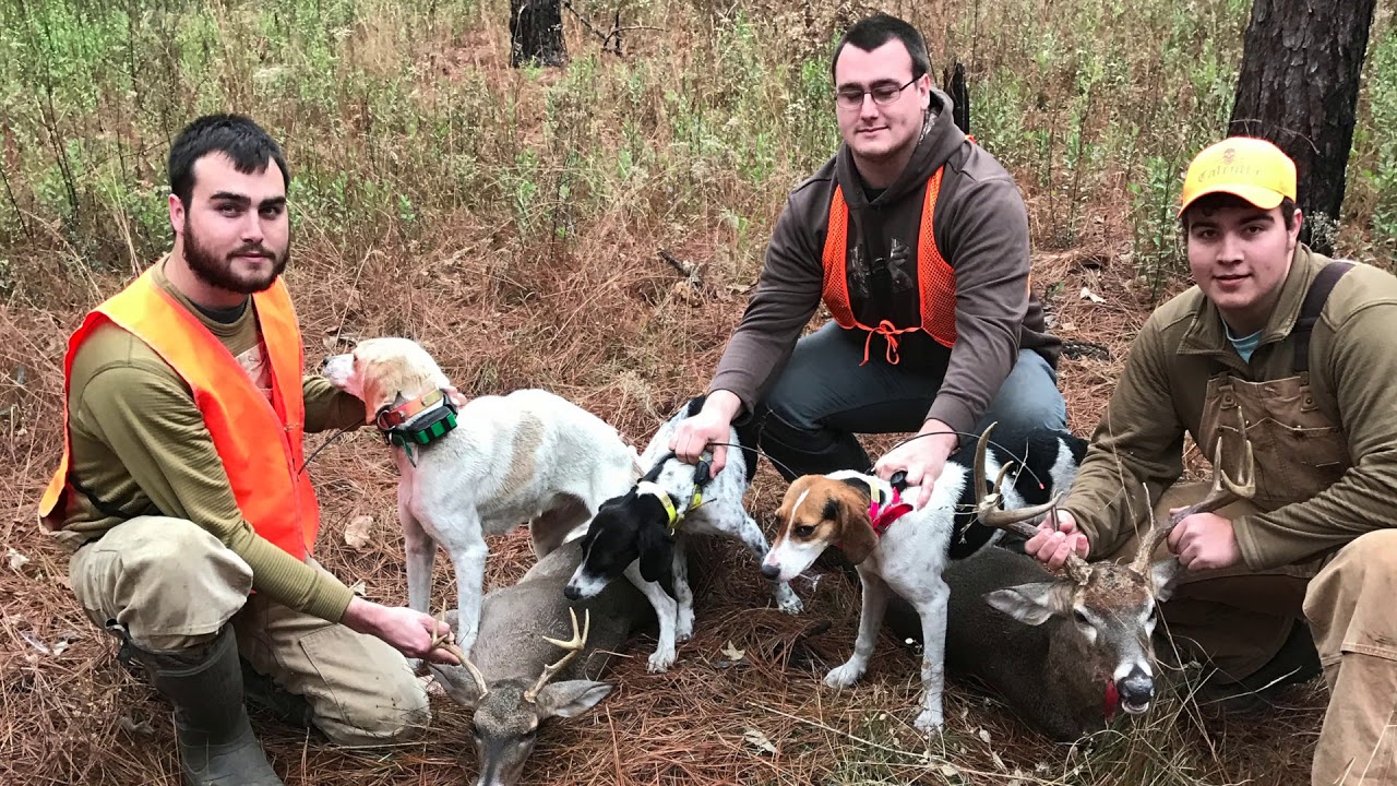 Dog hunting in south Alabama - YouTube