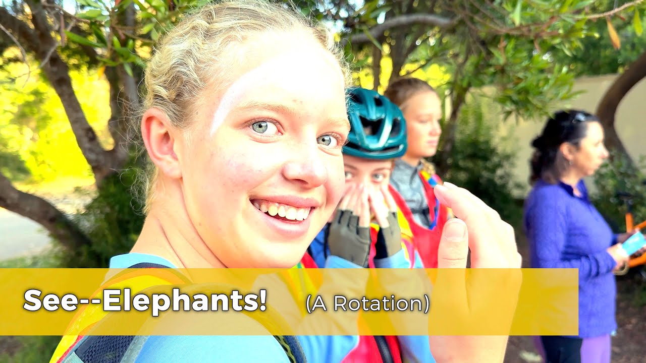 Rotation See: Elephants! - YouTube