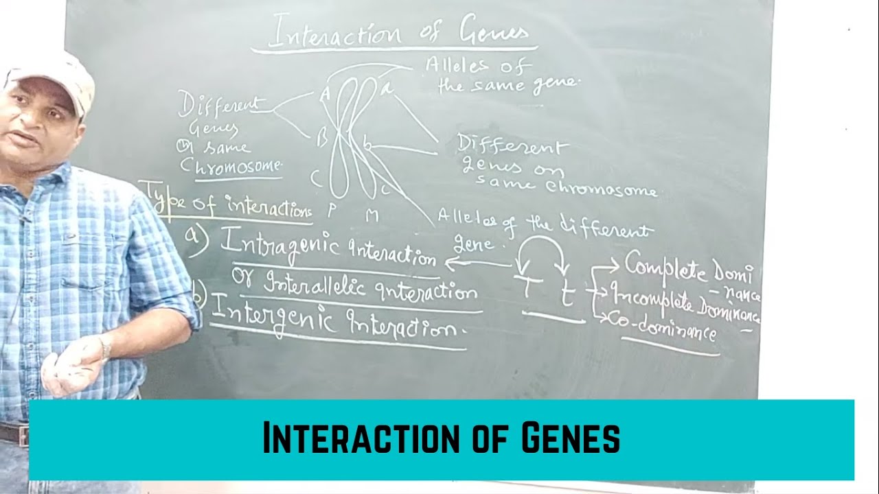 Interaction of Genes - Live Class - YouTube