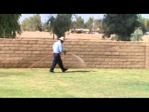 Dragons Exterminator (DEMO) Video - YouTube