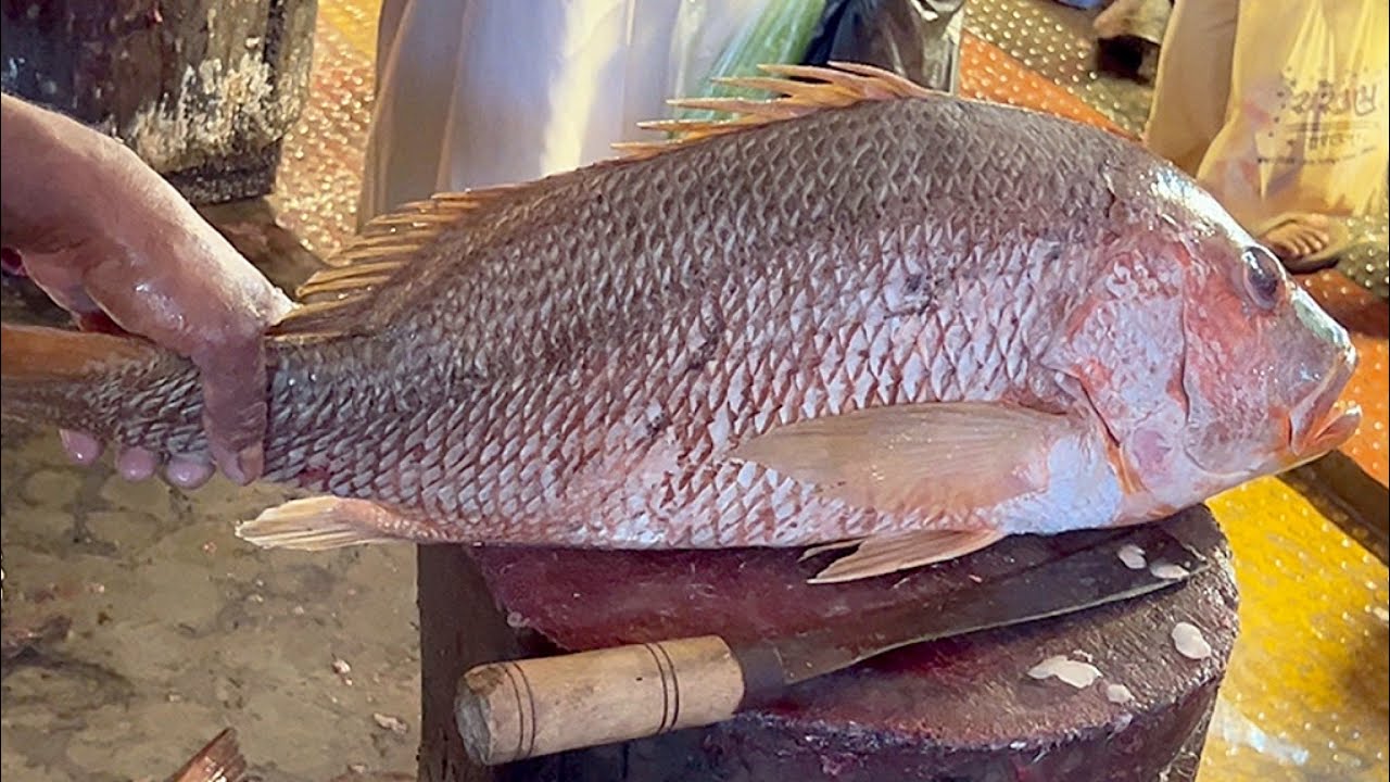 Incredible Big Red Snapper Fish Cutting Skills In Fish Market | Fish ...