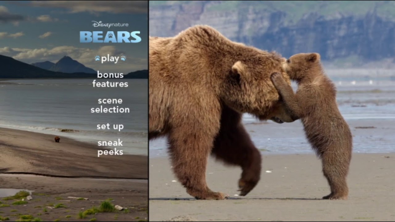 Bears 2014 DVD Menu Walkthrough - YouTube