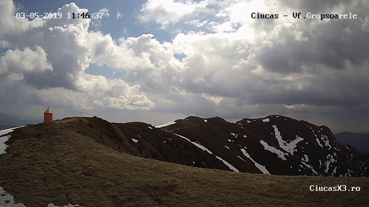 Radu Nastase Live Stream - YouTube