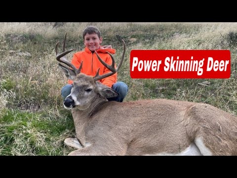 Power Skinning a Whitetail Deer - YouTube
