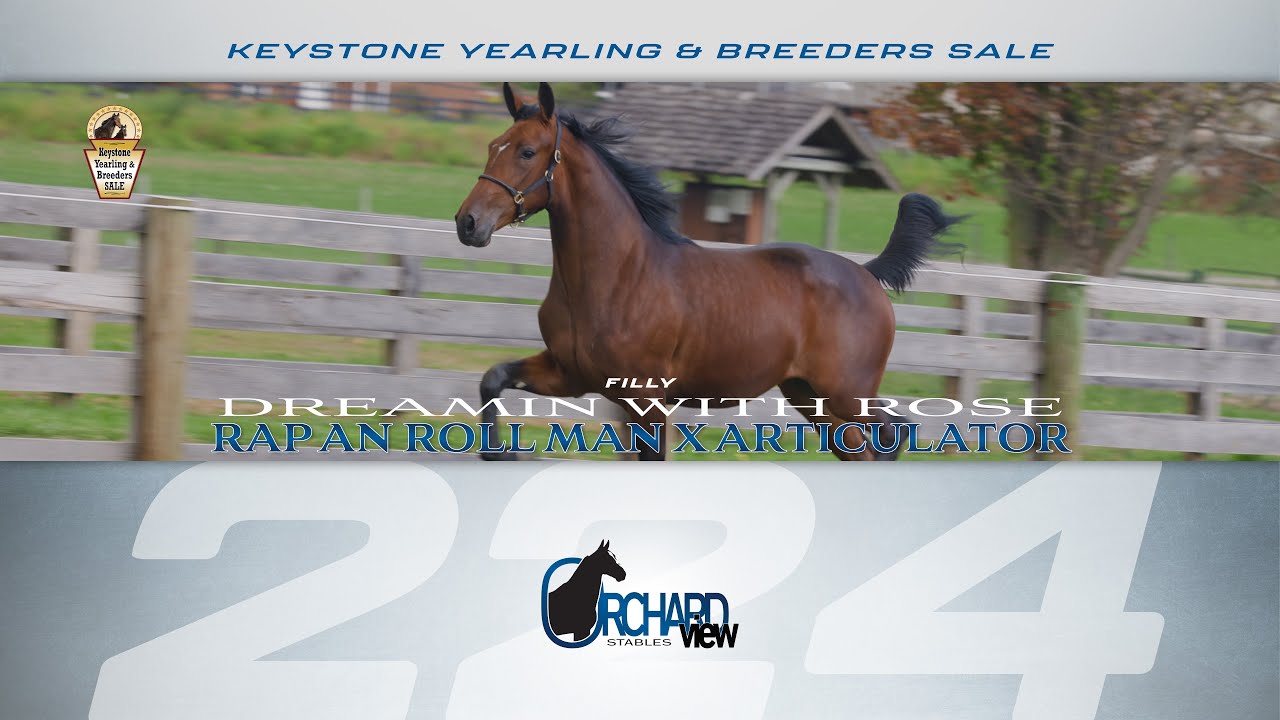 Rap An Roll Man filly - Keystone Yearling & Breeders Sale Lot 224 - YouTube